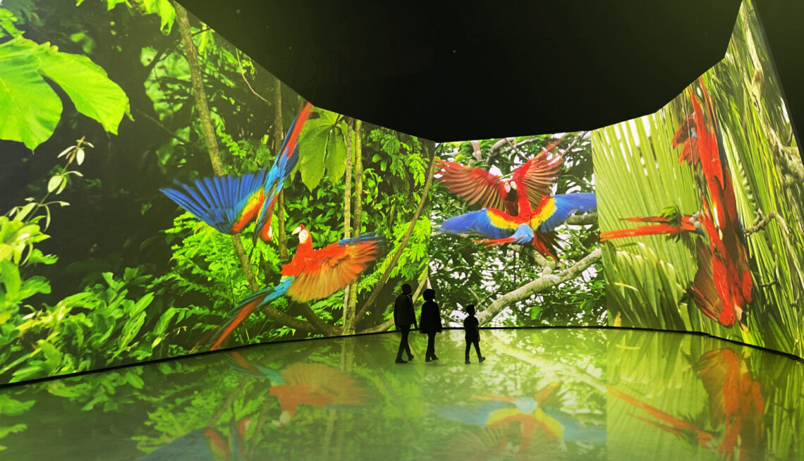 David Attenborough at the BBC Earth Experience | Unruly Folk